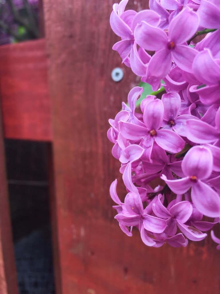 Capturing Campus: April – arts, ink.