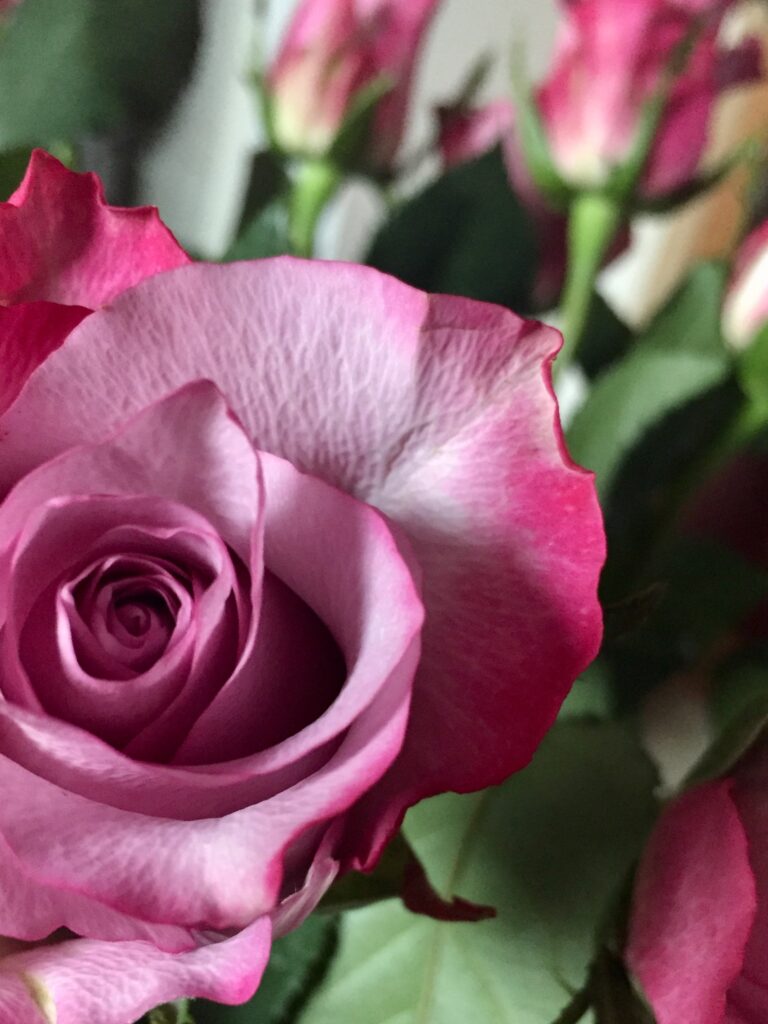 Capturing Campus: February – arts, ink.