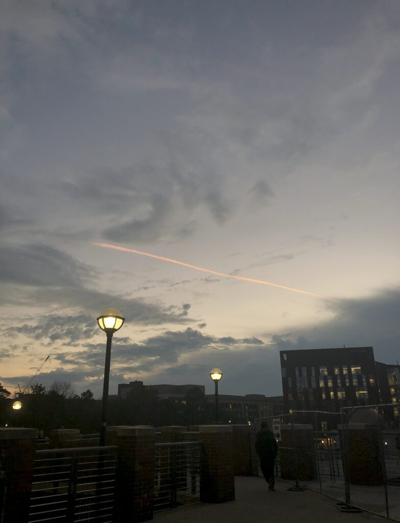 Capturing Campus: November – arts, ink.