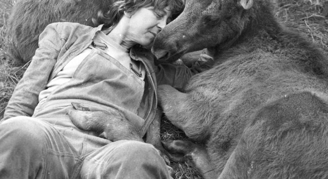 REVIEW: Simona – [art]seen